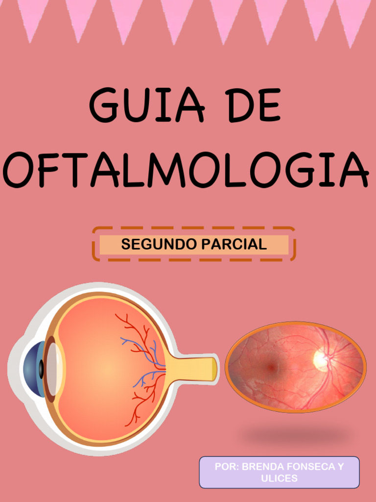 Guia de Oftalmo Segundo Parcial Terminada | PDF | Percepción visual | Neurona