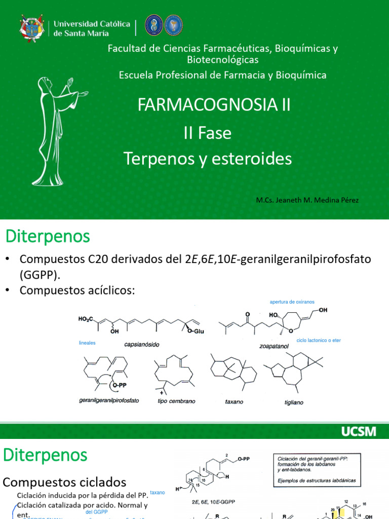 Terpenos Y Esteroides Pdf