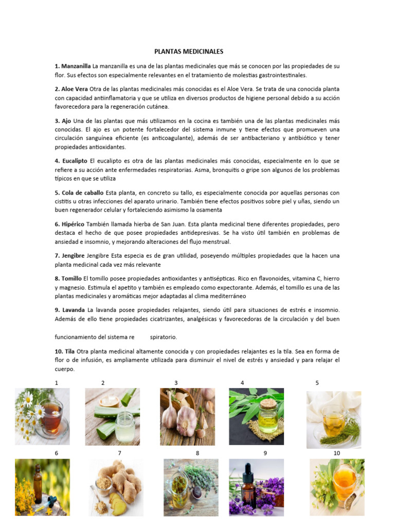 Plantas Medicinales | PDF | Plantas medicinales | Plantas