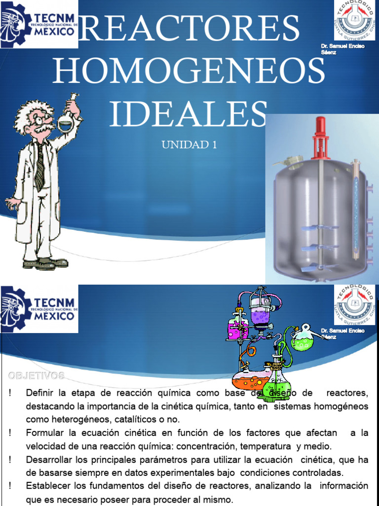 Reactores Homogeneos | PDF | Reactor Quimico | Cinética química