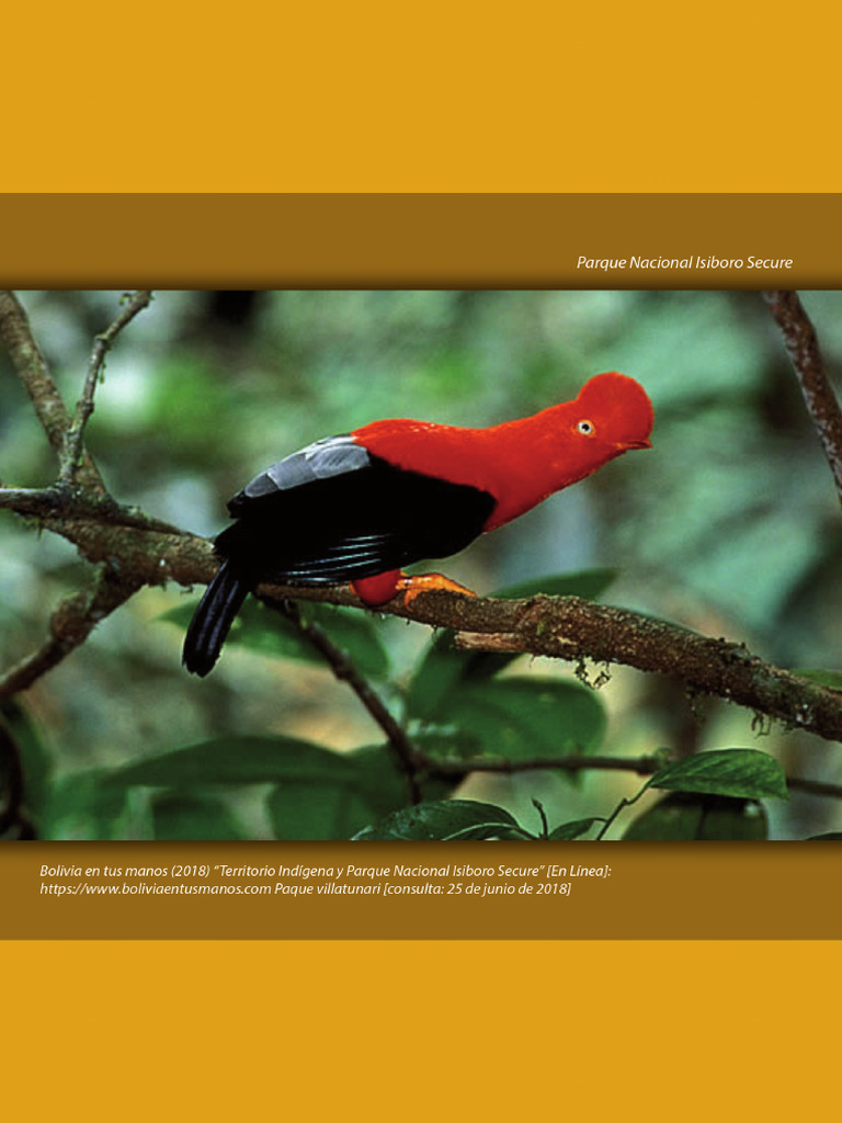 v7n8 A08 | PDF | Genocidios | Crímenes