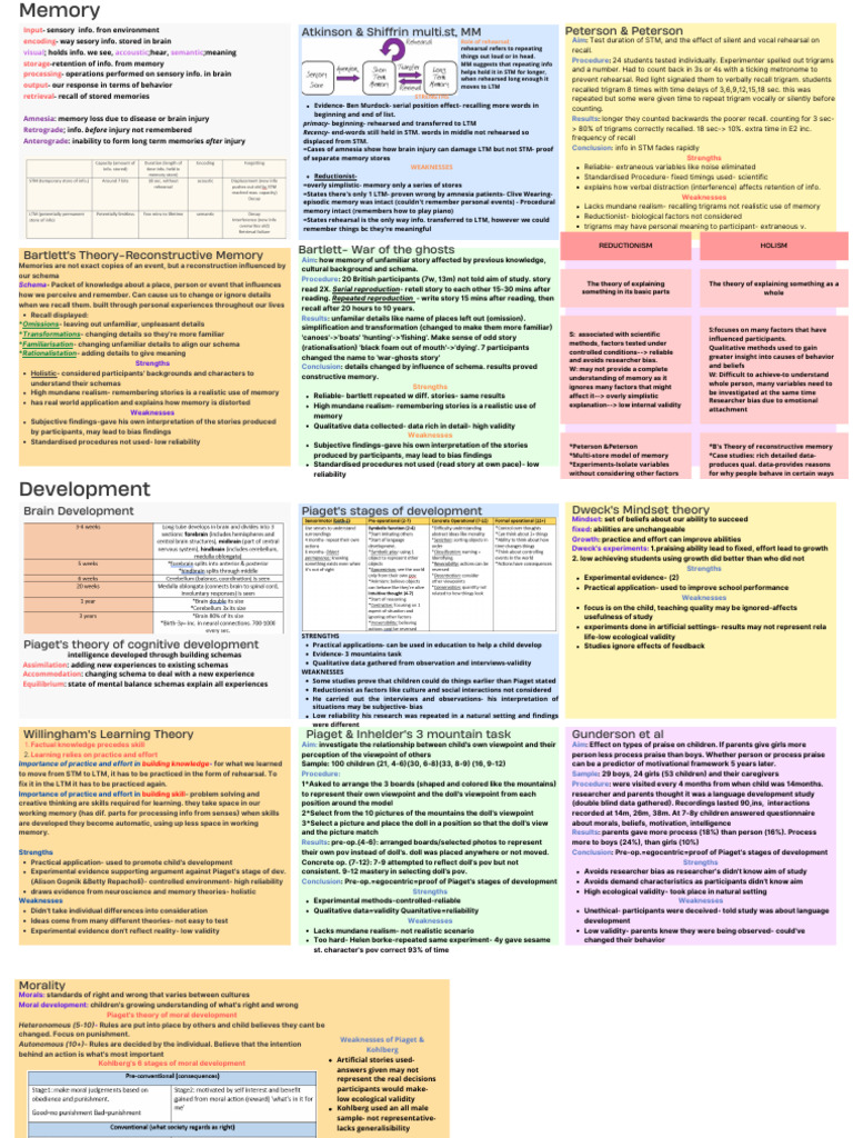 Reductionism vs. Holism in Memory Theory | PDF | Major Depressive Disorder | Recall (Memory)
