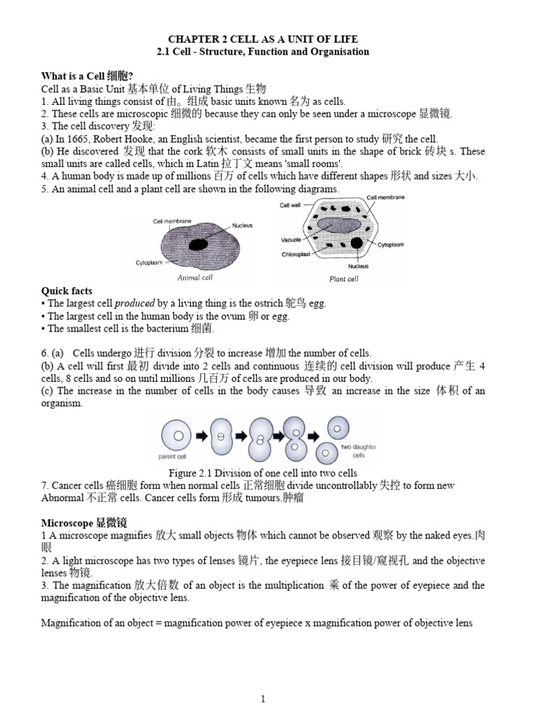 F1 Chapter 2 Cell As A Unit of Life | PDF | Cell (Biology) | Vacuole