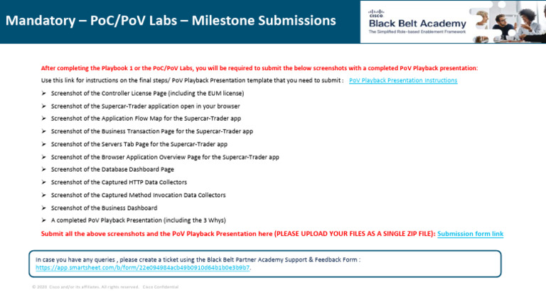 PoC/PoV Labs Submission Guidelines | PDF
