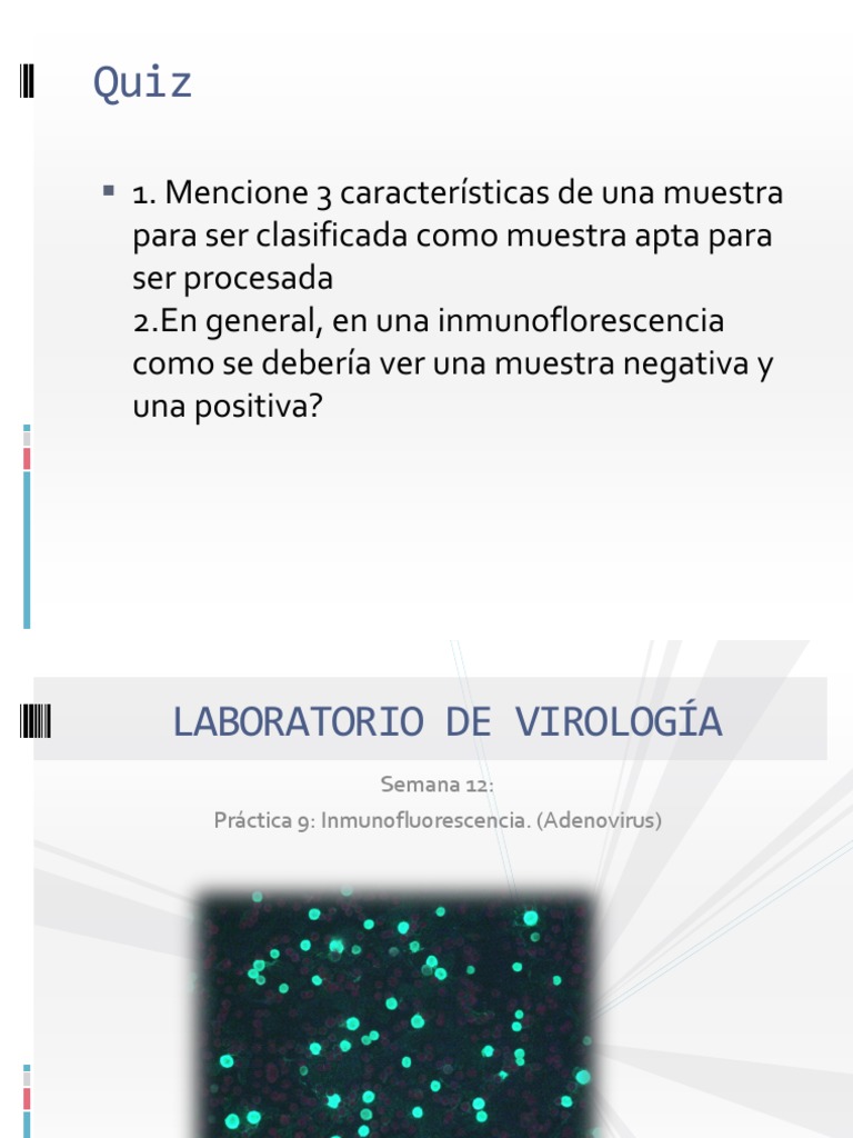 Presentación 9. Inmunofluorescencia | PDF | Inmunofluorescencia ...