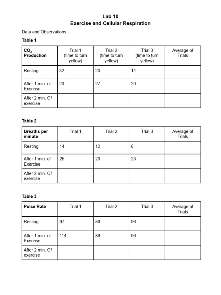 Lab 10 Exercise and Cell Respiration Data and Analysis Page | PDF ...