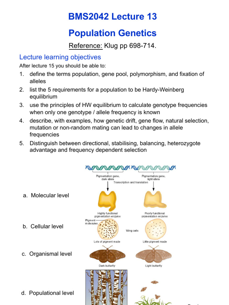 Population Genetics: Key Concepts and Forces | PDF | Zygosity | Allele