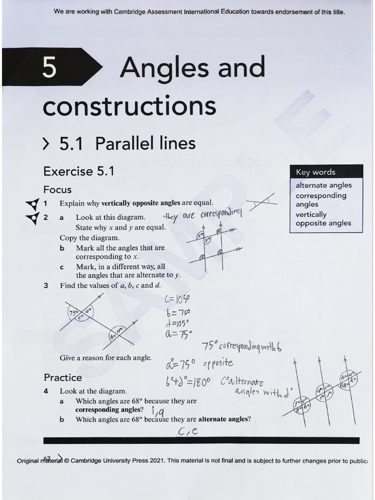 Angles and Conversation (Year 8) | PDF