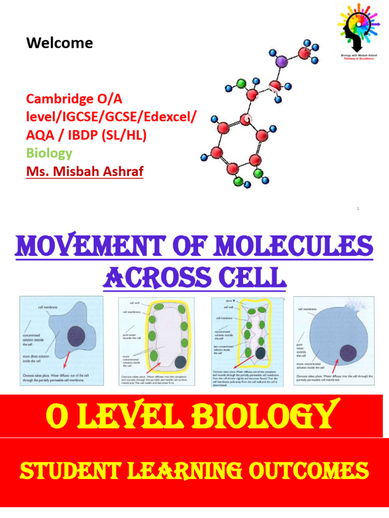 Molecule Movement in Biology: Diffusion, Osmosis, Active Transport ...