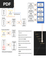 XML DTD Xmlschemas XSLT Json Dom | PDF | Xslt | Xml
