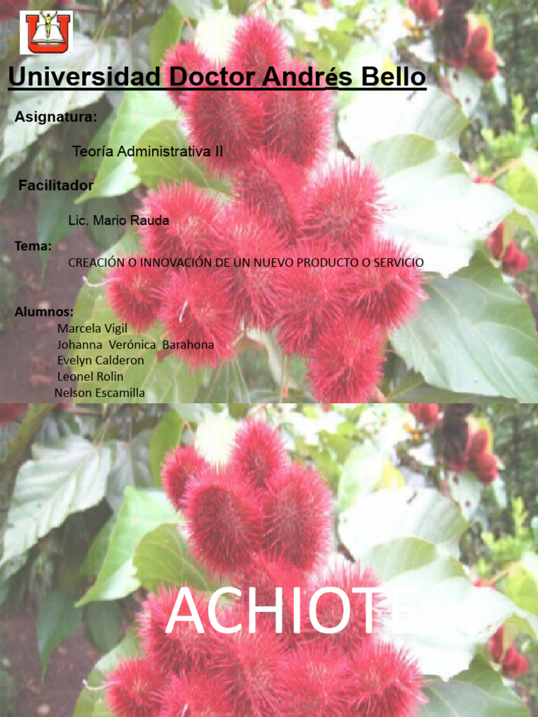 PRESENTACION ACHIOTE SIN MARCA 22.10.13.pptx para Exposicion - pptxEFEC. CON FINAN | PDF