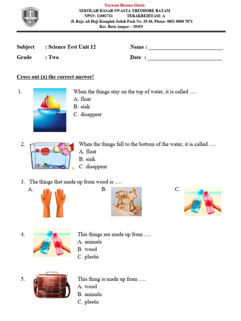 P2 Science Test Unit 12 | PDF