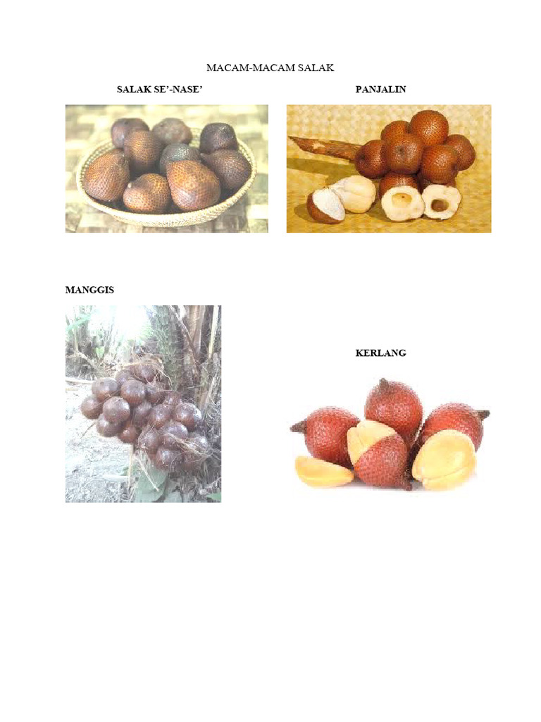VARIETAS SALAK | PDF | Fruit | Tropical Fruit