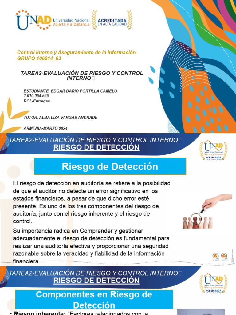 Presentación Riesgo de Detección - Edgar Portilla. | PDF | Auditoría ...