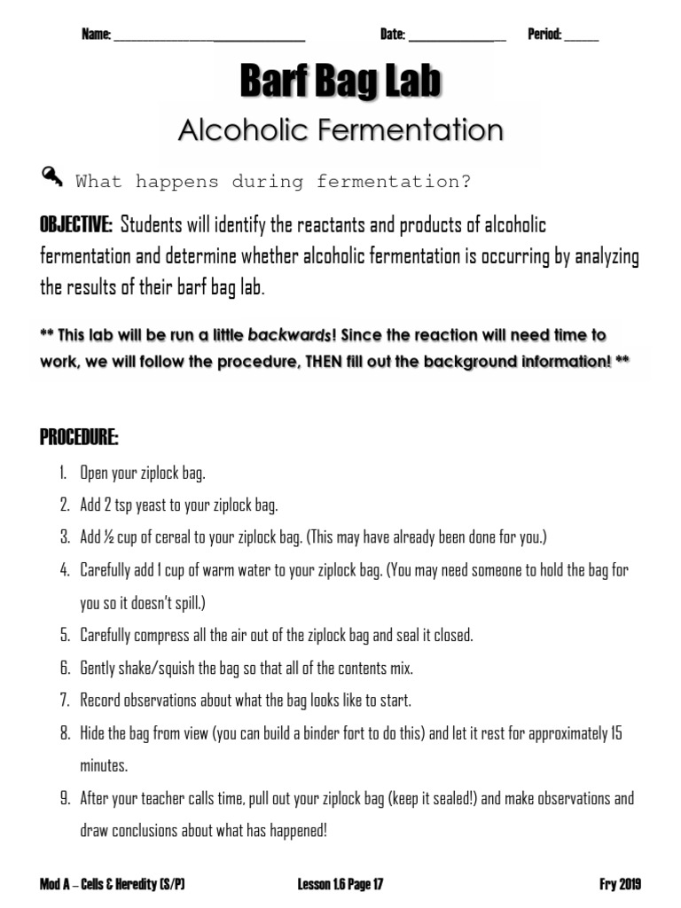 1.6 Barf Bag Lab | PDF | Chemical Reactions | Cellular Respiration