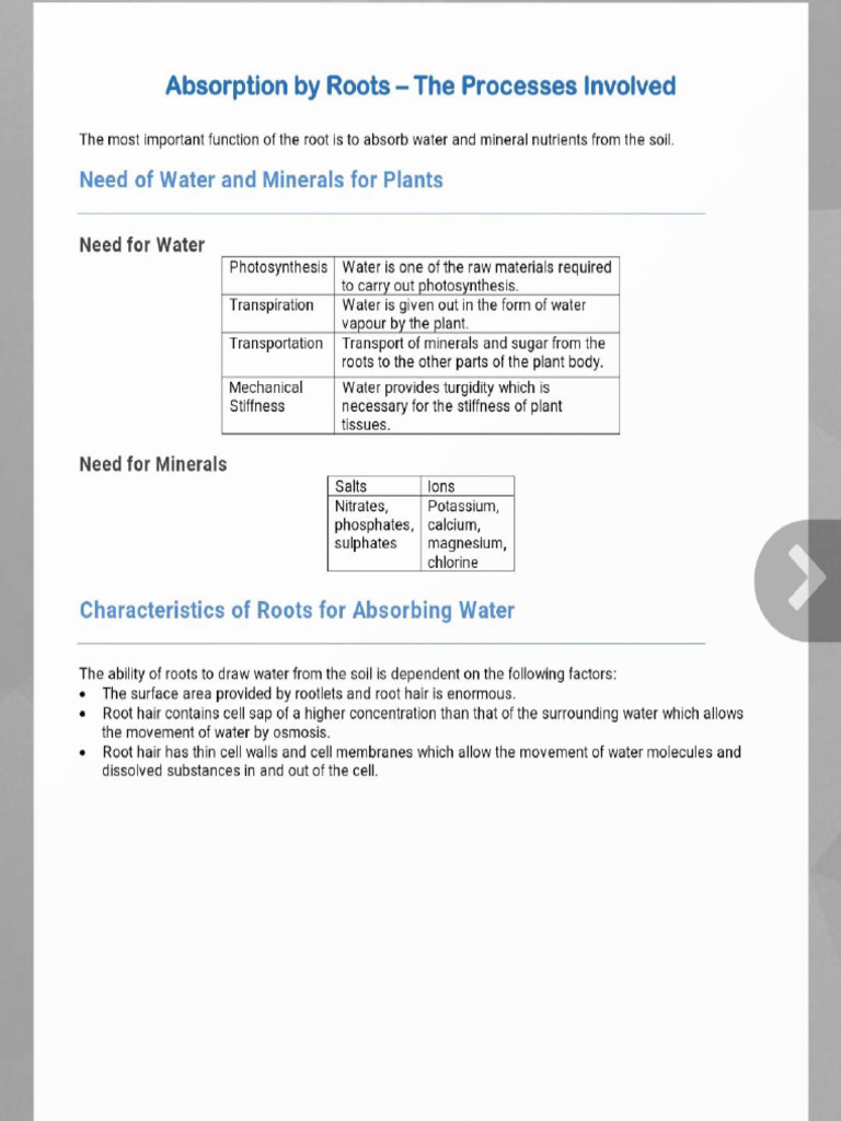 Absorption by Roots Class X Notes | PDF