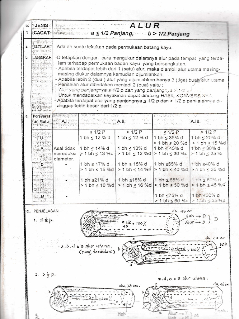 Macam-Macam Cacat Kayu | PDF