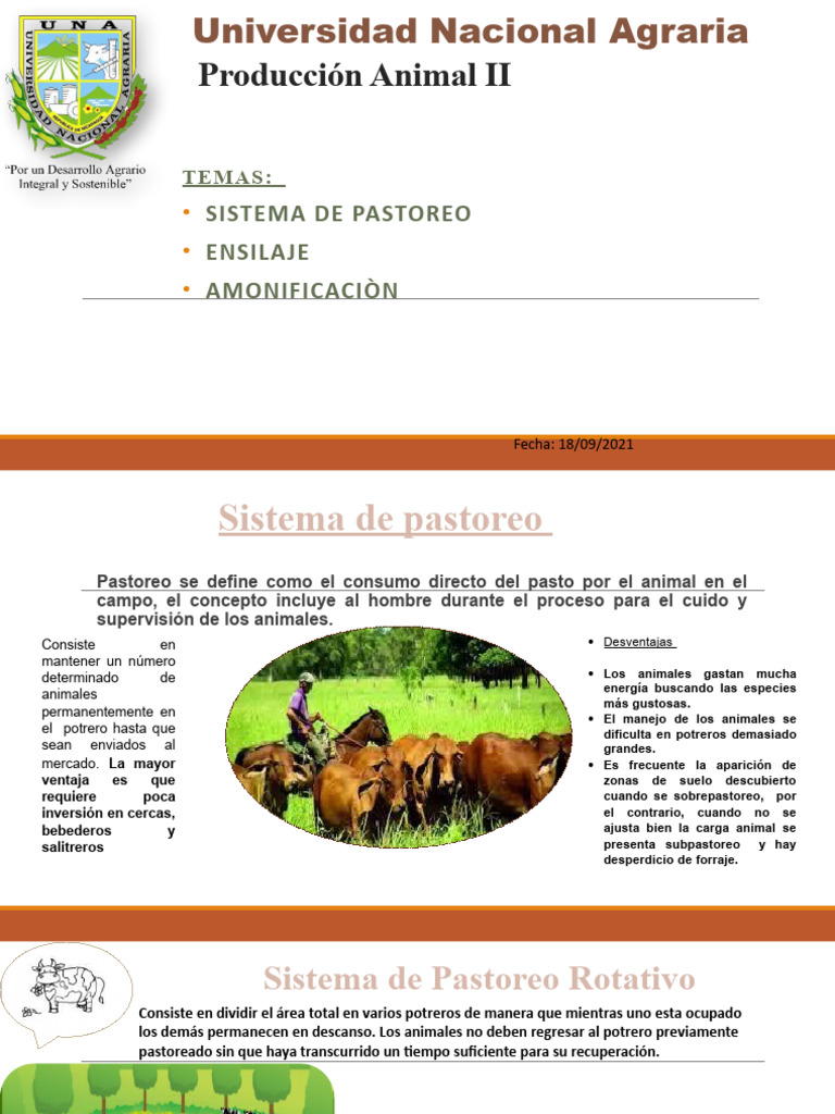 Producción Animal II Sistema de Pastoreo | PDF | Heno | Pasto
