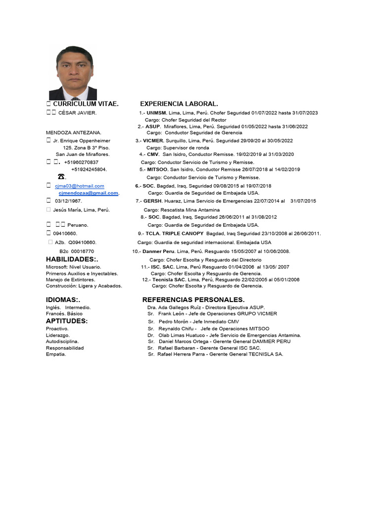 Currículum Vitae 2024-1 | PDF