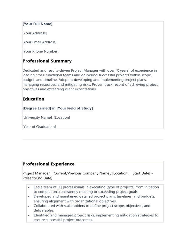 Template CV for PM and SDM | PDF | Project Management | Leadership
