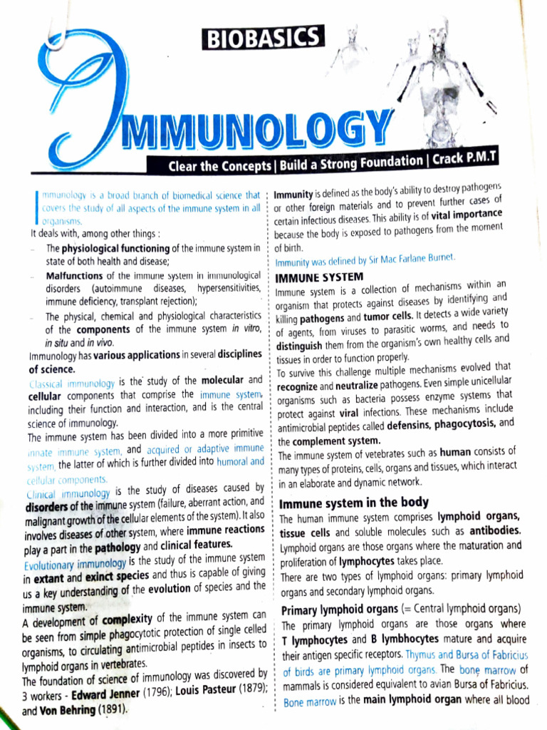 Immunology Xii Pdf Immune System Antibody