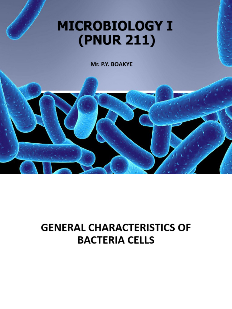Microbiology Lecture Bacteria Pdf Bacteria Cell Biology