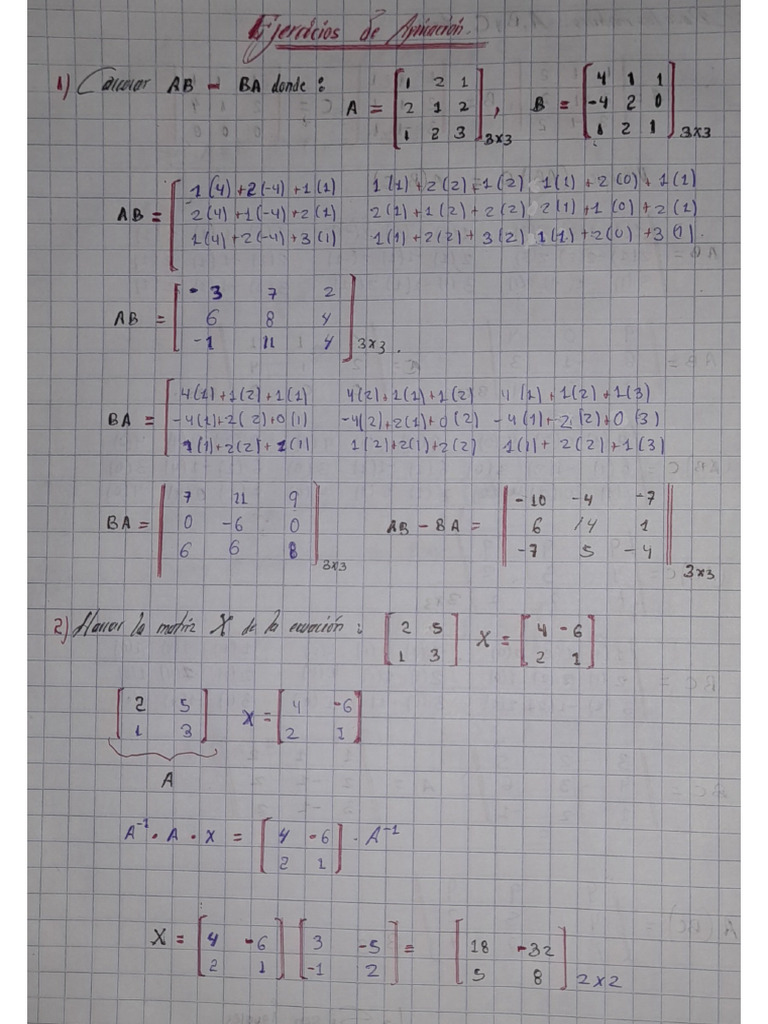 Matrices y Determinantes | PDF