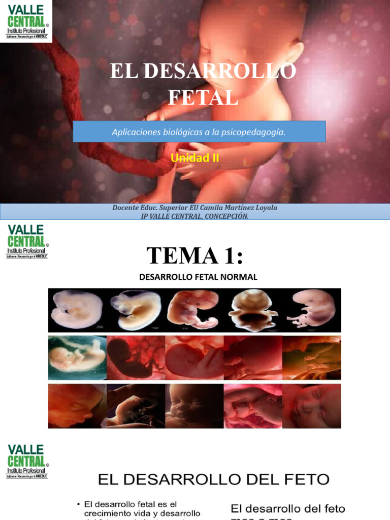 PPT2 | PDF | Placenta | Feto