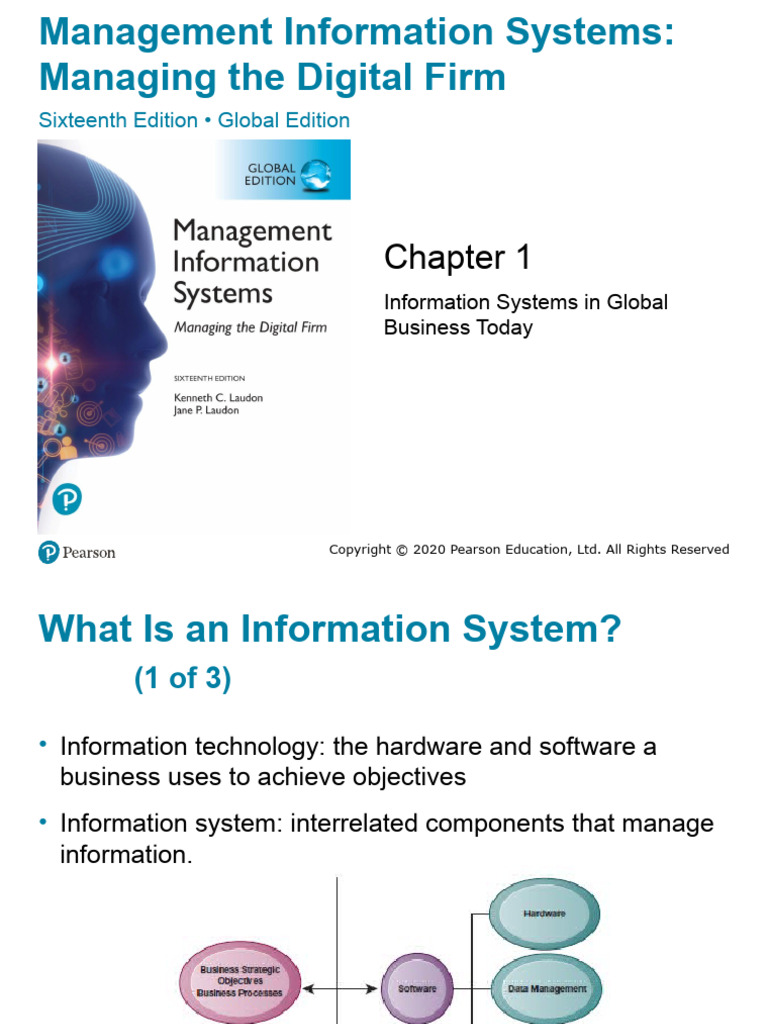CH 01 | PDF | Information System | Information