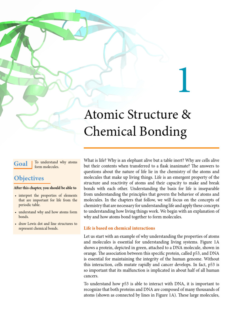 Atomic Structure & Bonding Basics | PDF | Ion | Ionic Bonding