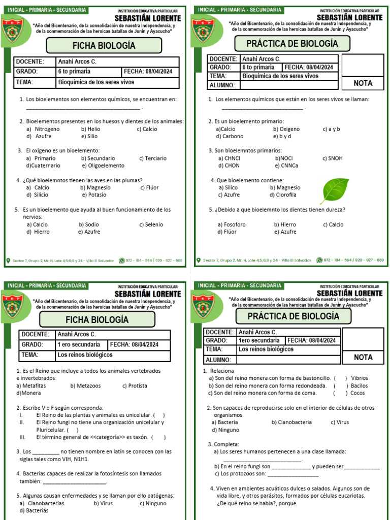 Sebastian L. Fichas - CTA | PDF | Configuración electronica | Nutrición