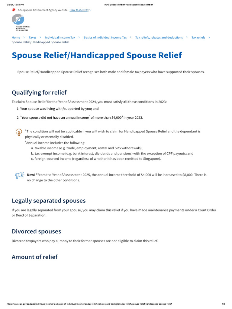 IRAS - Spouse Relief - Handicapped Spouse Relief | PDF | Individual ...