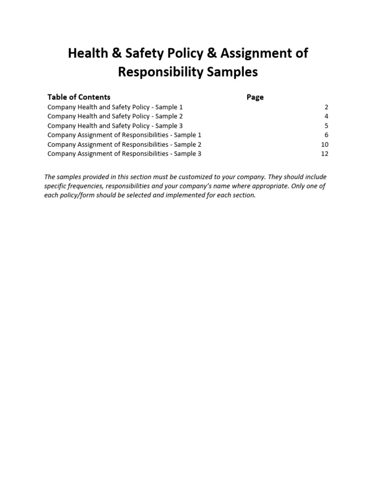 Health Safety Policy Assignment of Responsibility Samples | PDF ...