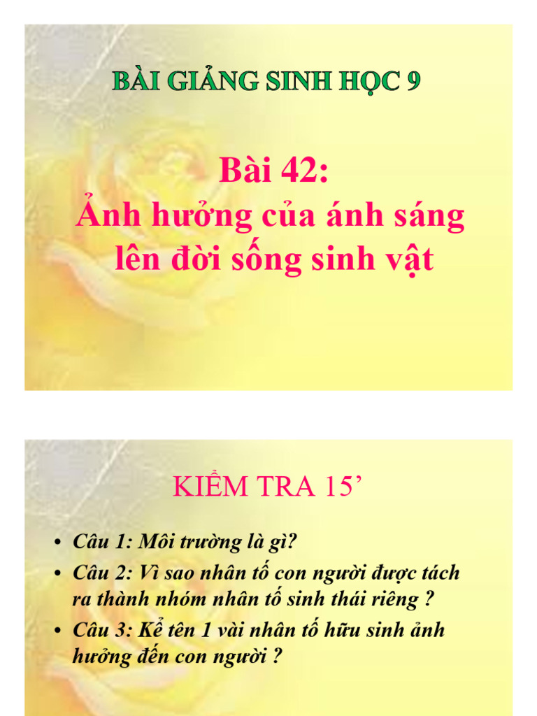 Bai 42 Anh Huong Cua Anh Sang Len Doi Song Sinh Vat - 556 - 1395193107 | PDF