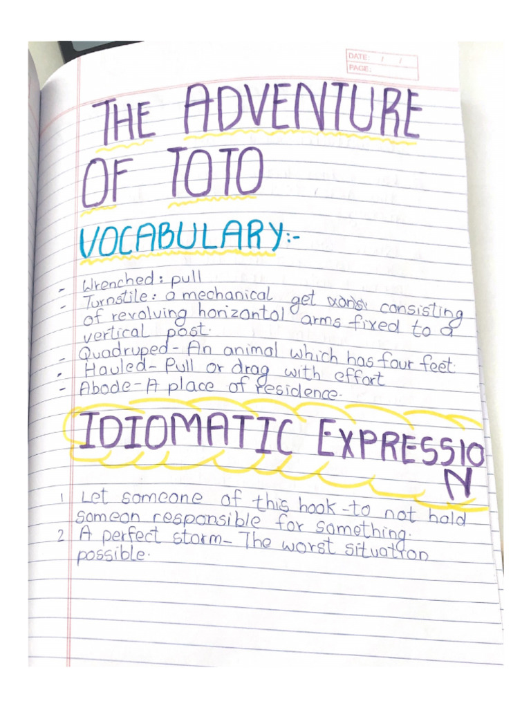 The Adventure of Toto | PDF