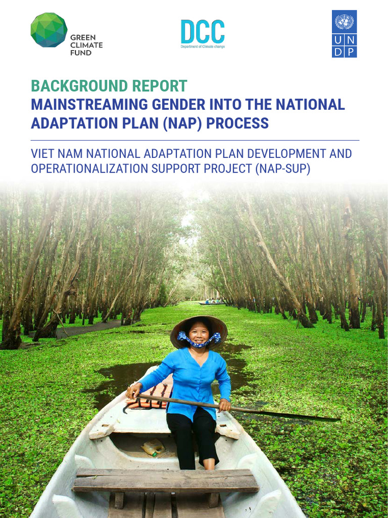 En Undp Background Report Gender Mainstreaming Of The Nap Small Pdf