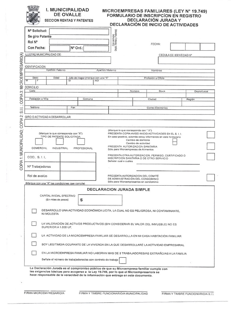 Formulario MicroEmpresa Familiar | PDF