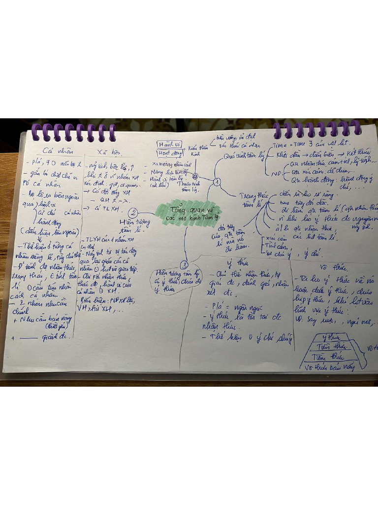 Sơ Đ Tư Duy Tâm Lý NG D NG | PDF