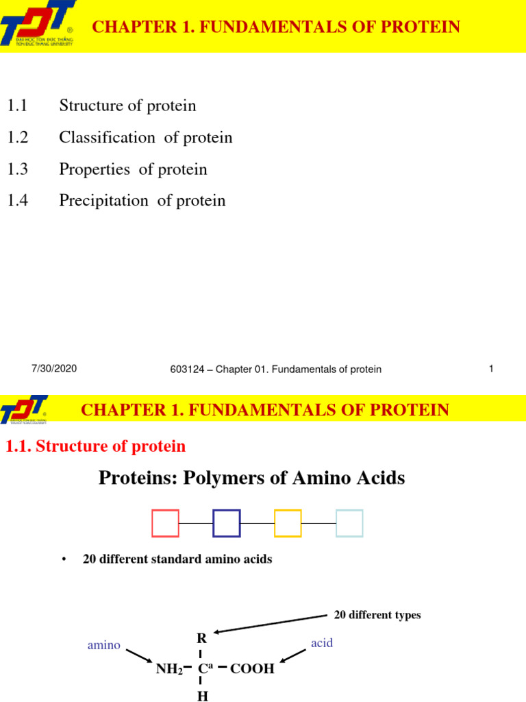 603124-Protein and enzyme technology-Chapter 1. Fundamentals of protein ...