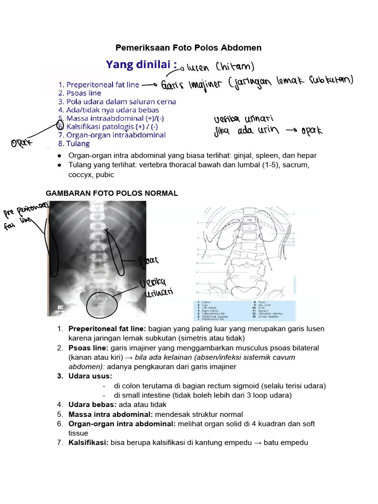 SKILLS LAB WEEK 3 (Pemeriksaan Foto Polos Abdomen) | PDF