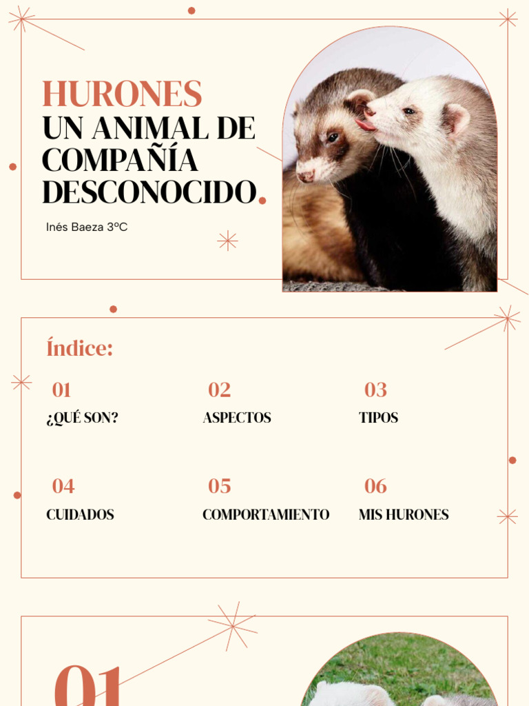 HURONES | PDF | Cocina, comidas y vino | Salud y bienestar