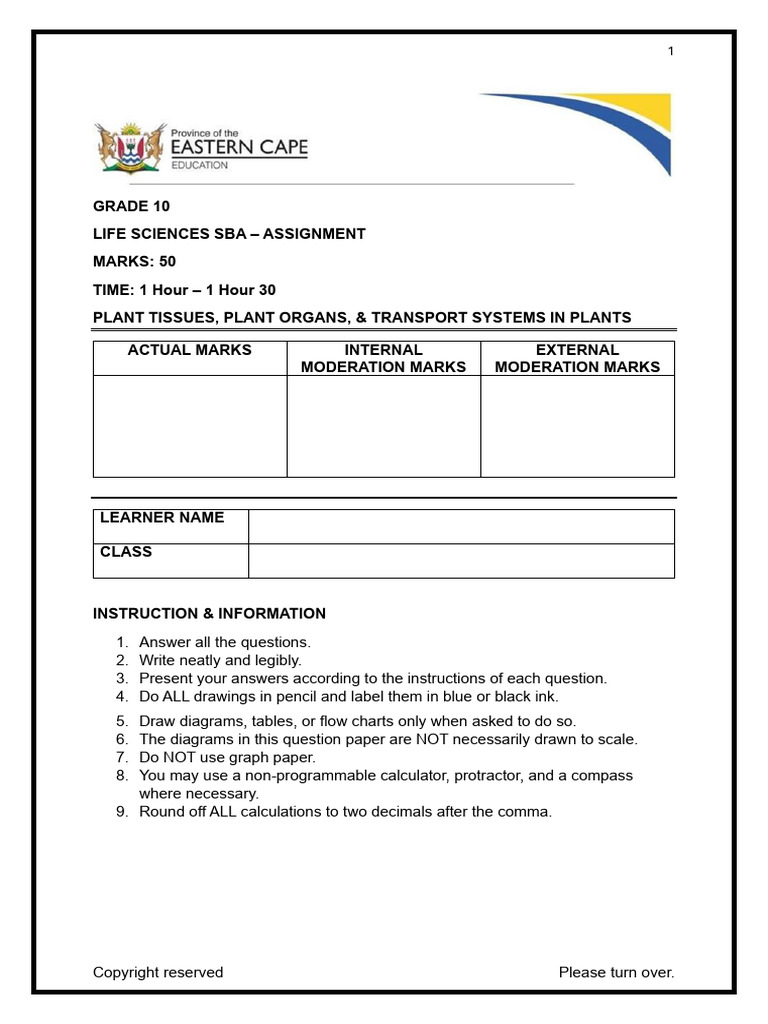 Grade 10 Assignment | PDF | Leaf | Tissue (Biology)