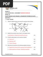 Grade 10 Practical Booklet | PDF | Heart Valve | Heart