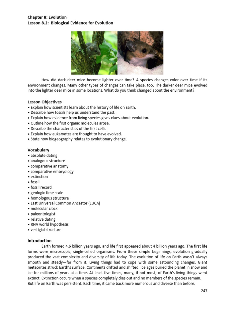 Chapter 8-Lesson 8.2-Biological Evidence For Evolution | PDF | Cell ...