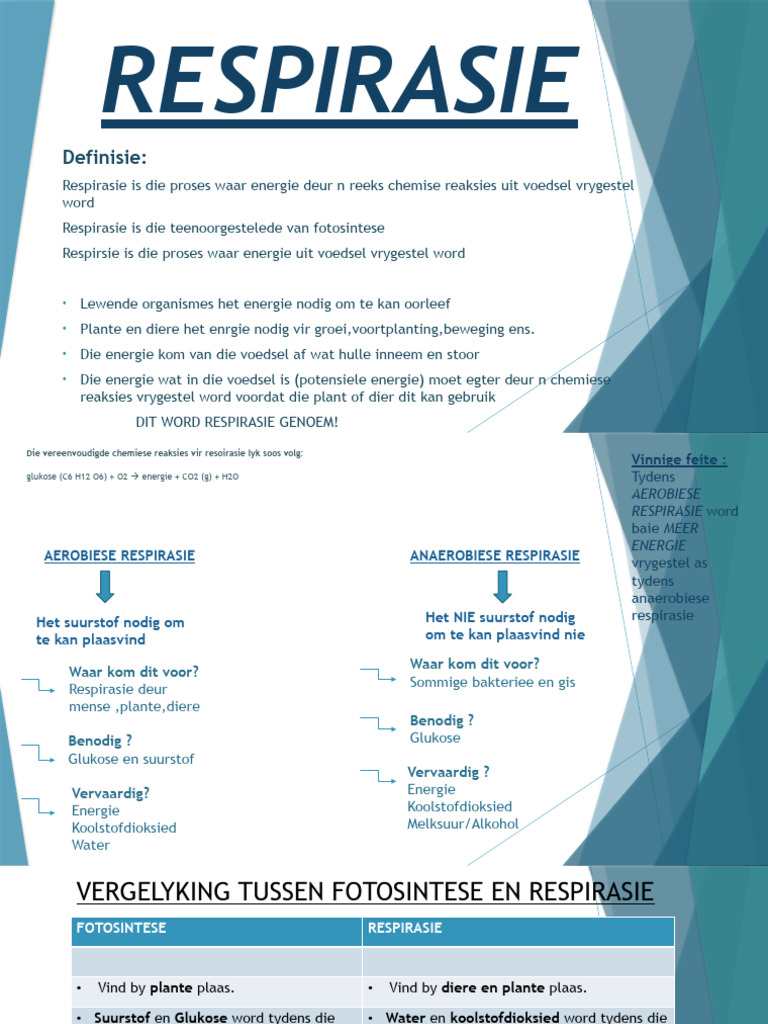 RESPIRASIE | PDF