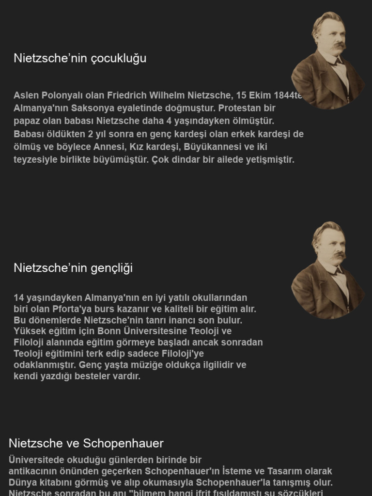 Nietzsche Sunum | PDF