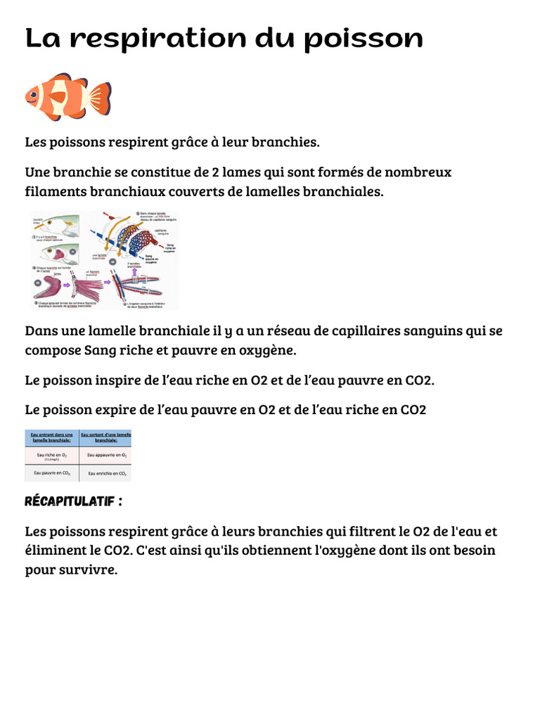 Respiration des poissons par branchies | PDF | Sciences et mathématiques