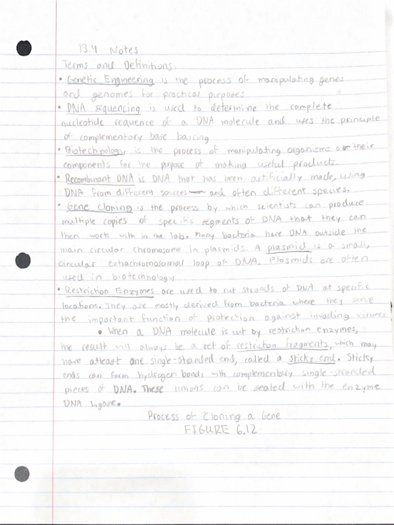 CH 13.4 Notes and Concept Checks (Jan 9, 2024 at 10 - 08 PM) | PDF