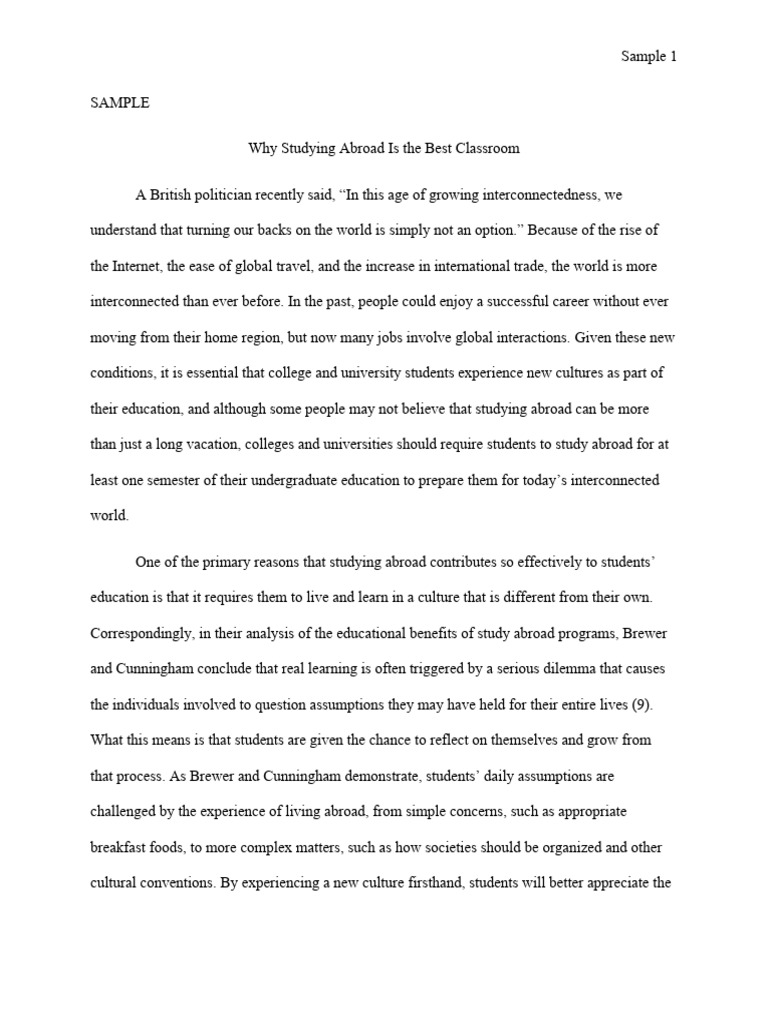 Sample Argument Paper | PDF | International Student | Disciplines