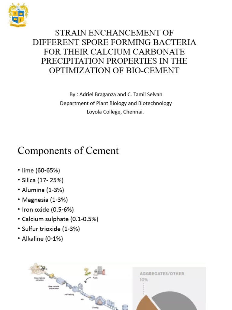 Enhancing Bio-Cement with Bacterial Strains | PDF | Chemical Substances | Materials